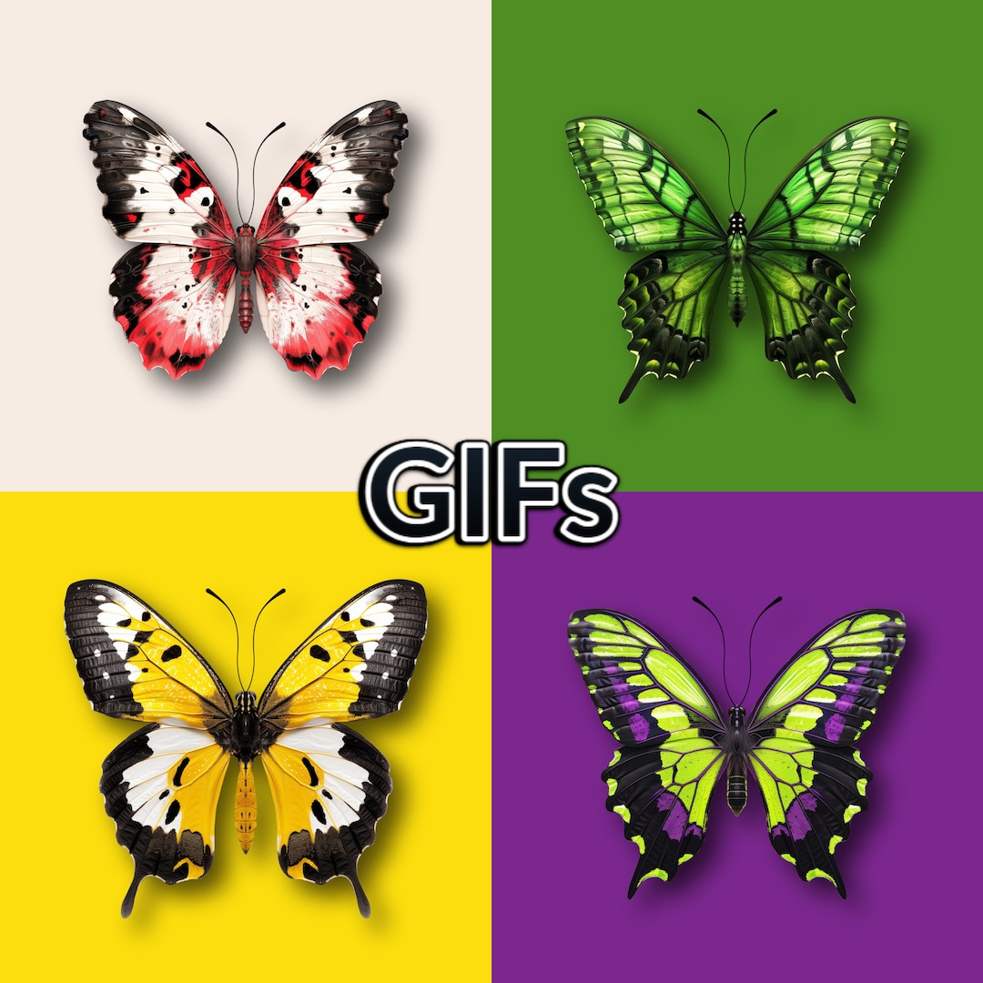 Set of 4 Animated Butterfly Gifs | High-quality Digital Butterfly ...
