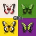 Set of 4 Animated Butterfly Gifs | High-quality Digital Butterfly ...