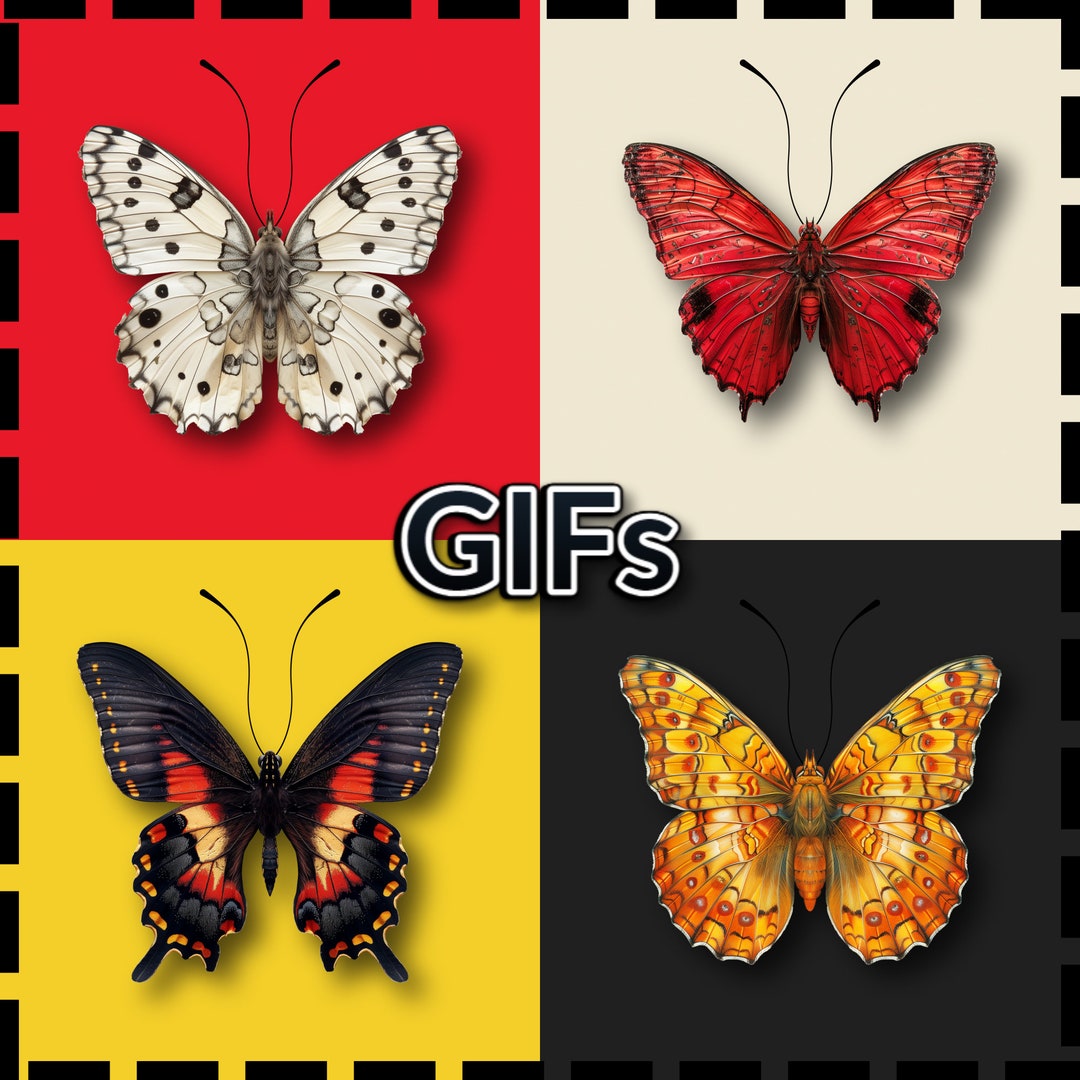 Set of 4 Animated Butterfly Gifs | High-quality Digital Butterfly ...