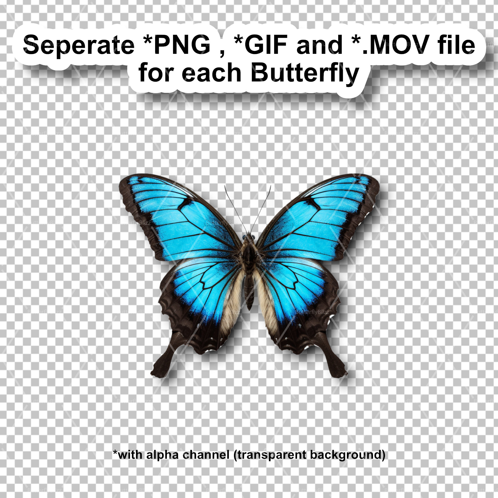 Set of 9 Animated Butterfly PNG, GIF, and MOV Files With Alpha Channel ...