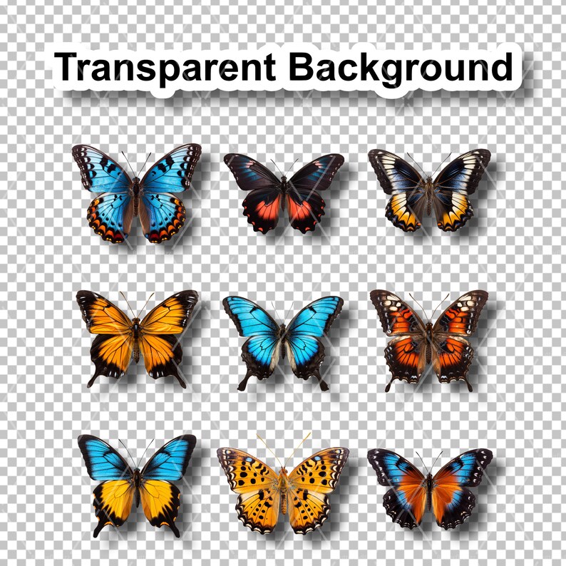 Set of 9 Animated Butterfly PNG, GIF, and MOV Files With Alpha Channel ...