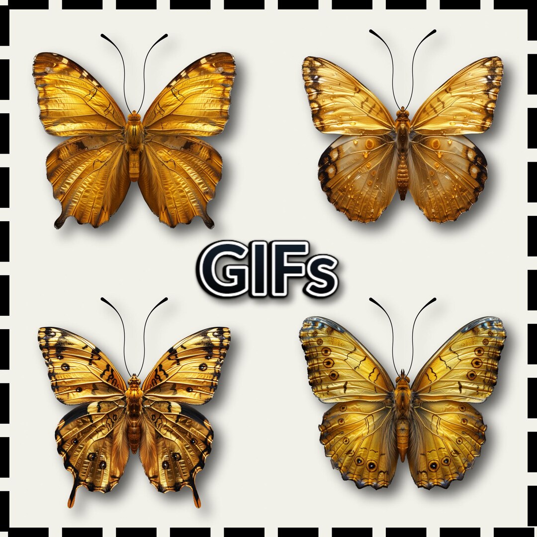 Animated Golden Butterfly Gifs | High-quality Digital Butterfly ...
