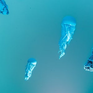 POLYGON DEEP Jellyfish Sea, Table Lamp, Custom Night Light, Epoxy Lamp ...