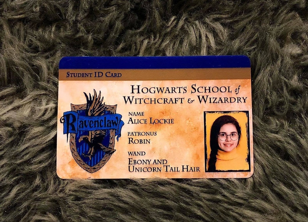 Magic School - Witchcraft and Wizardry - Blue and Bronze House ...