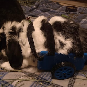The Original Rabbit Wheelchair V1 - Etsy