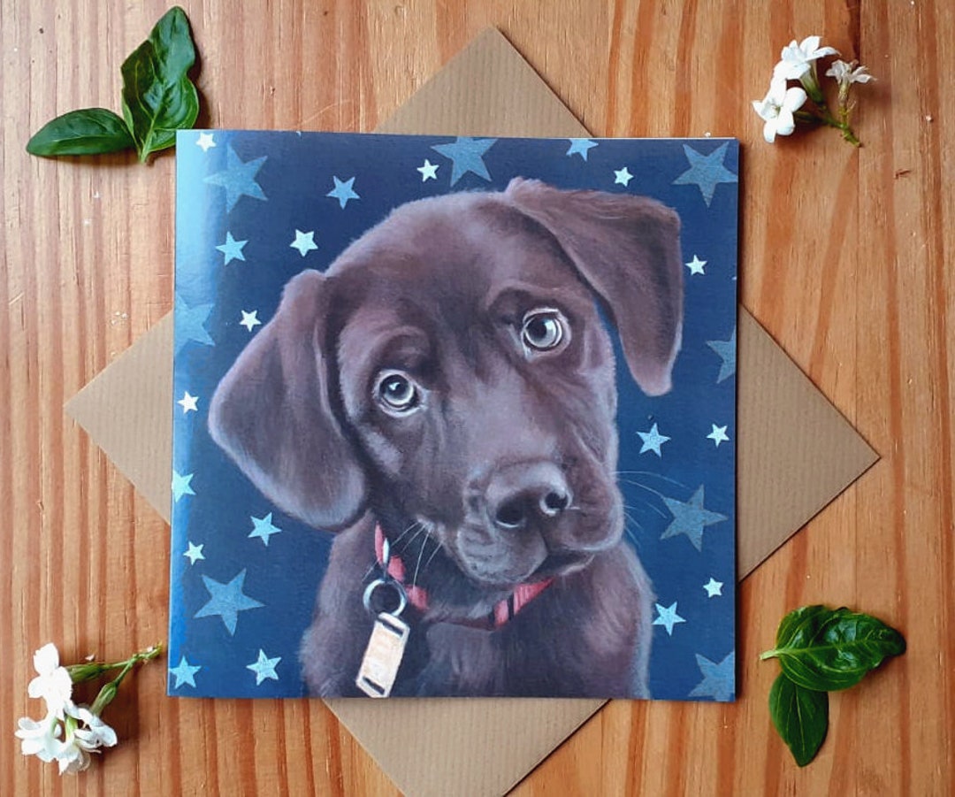 Chocolate Labrador Puppy With Stars Greetings Card / Chocolate Labrador ...