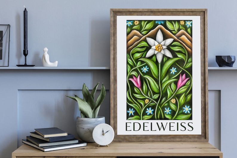 Edelweiss Flower Drawing - Etsy
