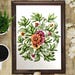 Zinnia Flower Illustration Poster - Etsy