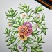 Zinnia Flower Illustration Poster - Etsy