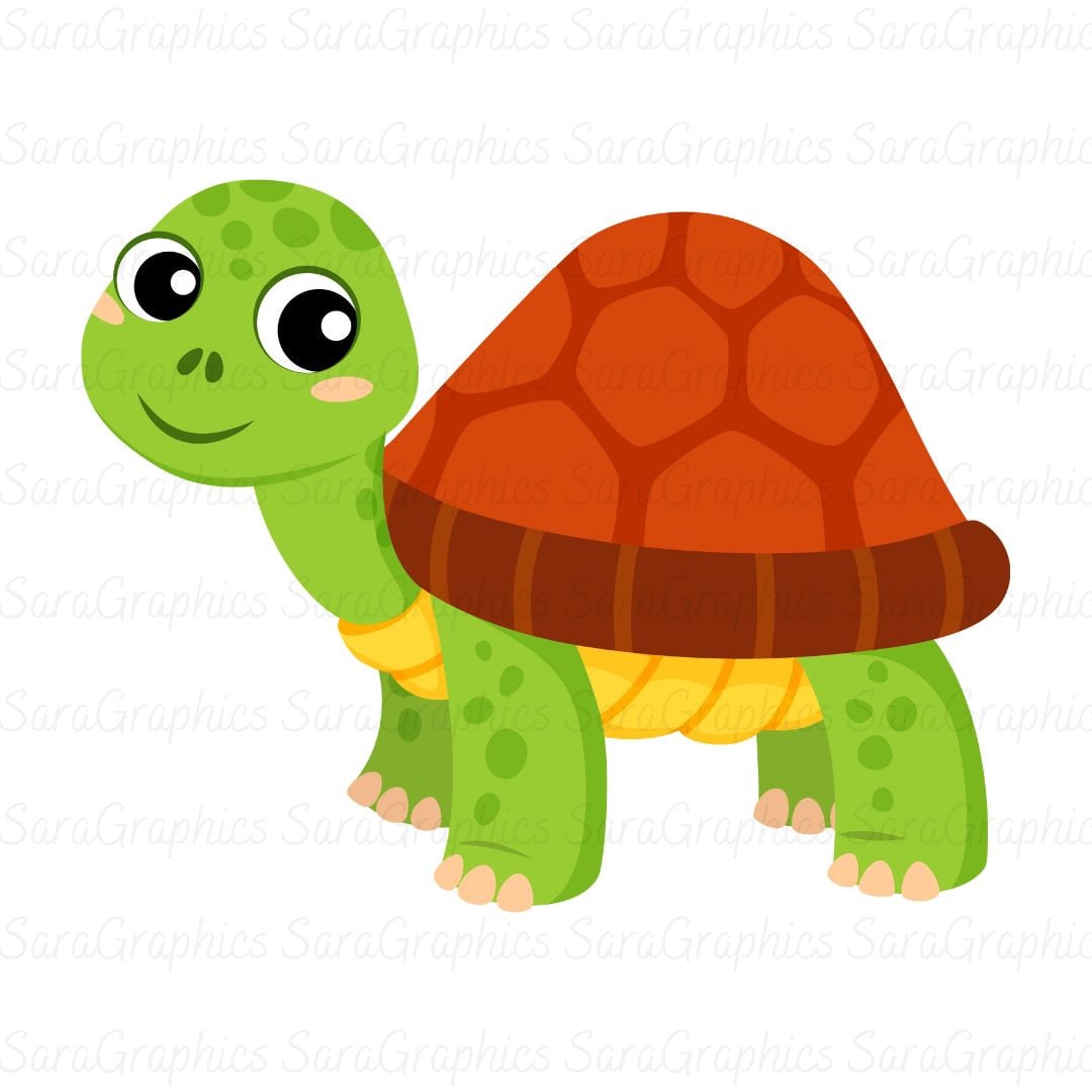 Turtle Cute Turtle Clipart Forest Animals Turtle PNG for - Etsy