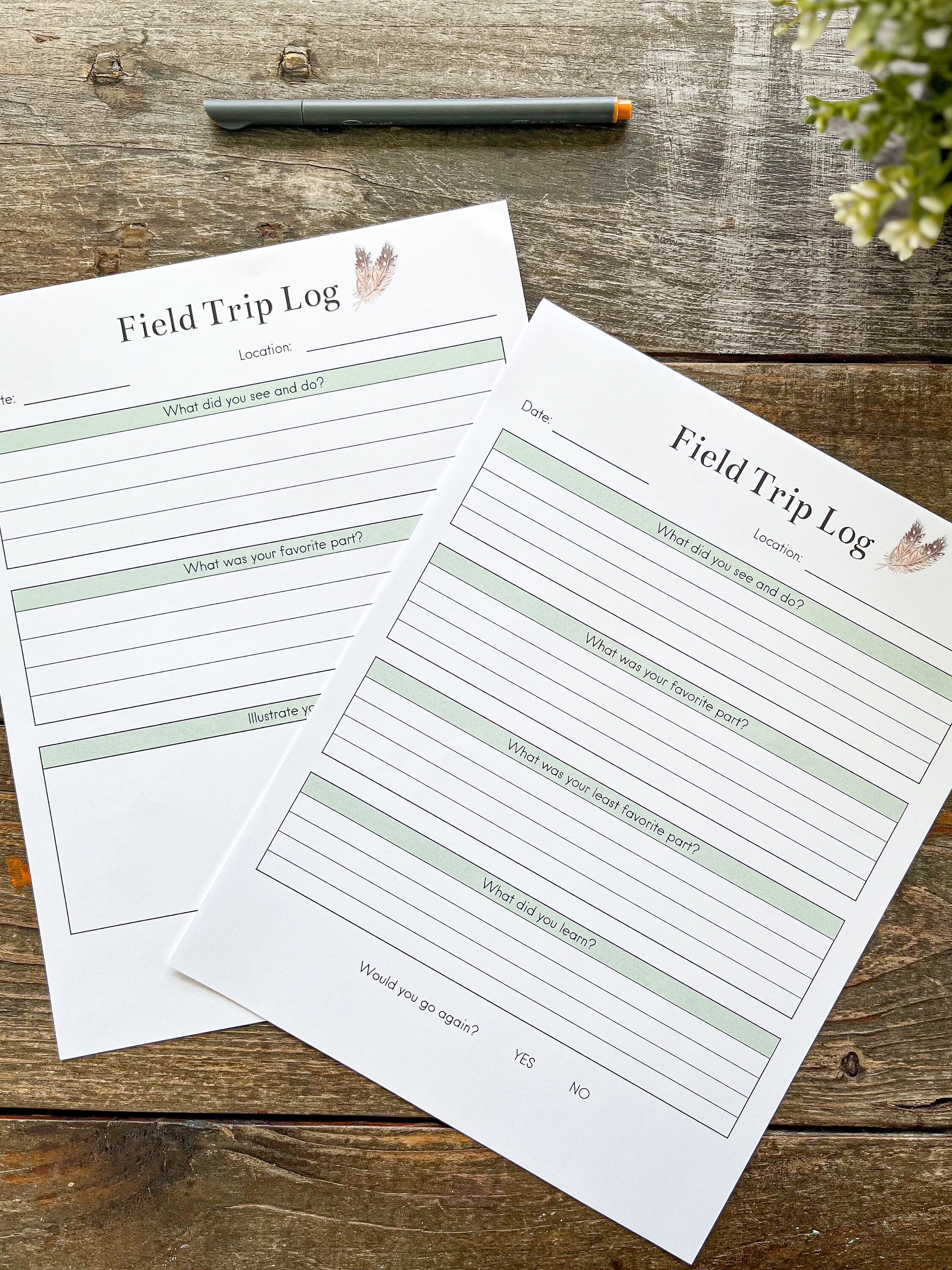 Birds | Nature Themed Homeschool Portfolio Bundle / Homeschool Subject ...
