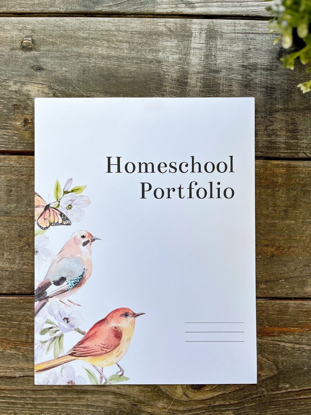 Birds | Nature Themed Homeschool Portfolio Bundle / Homeschool Subject ...