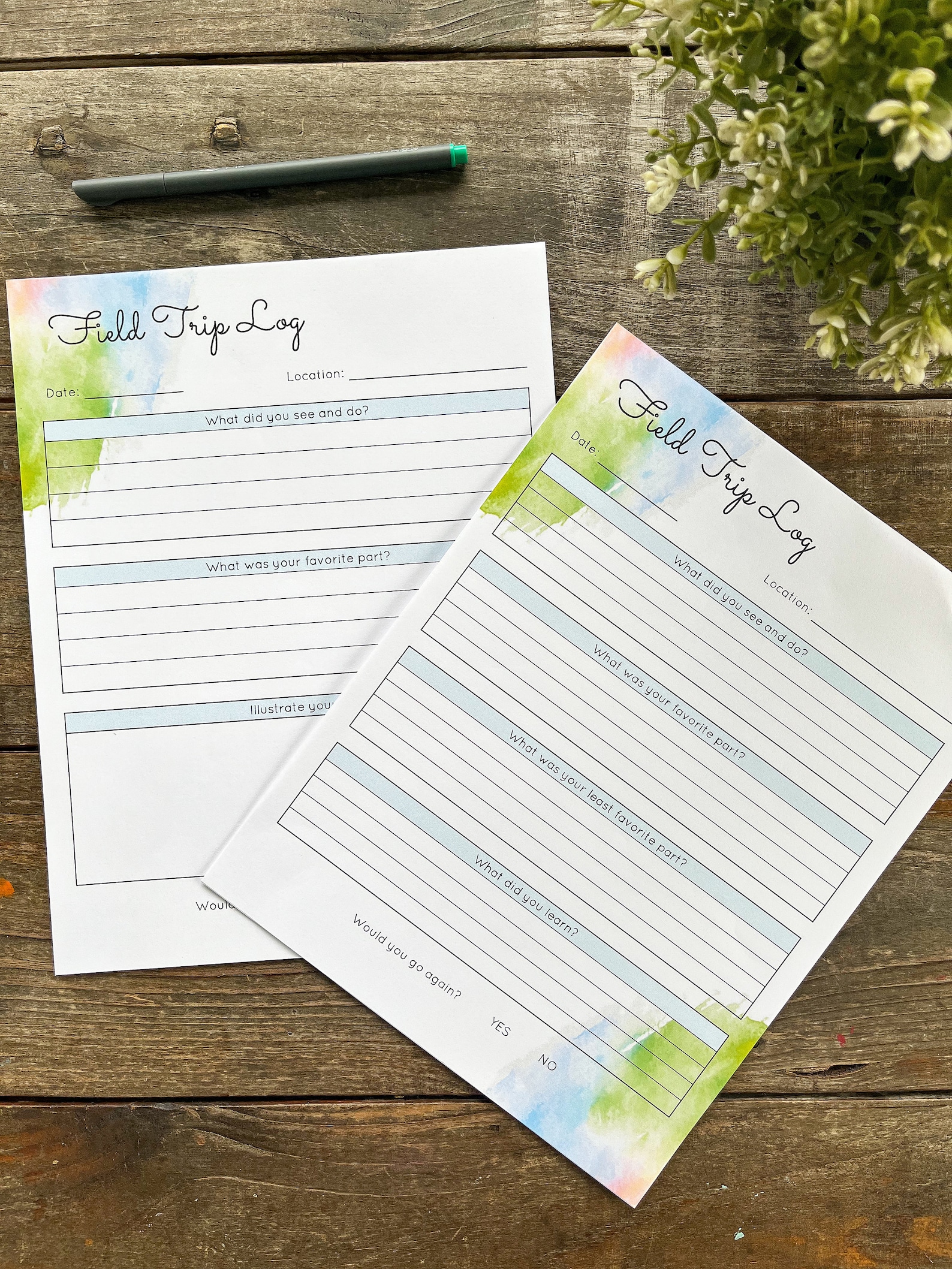 Green Watercolor Homeschool Portfolio Bundle / Homeschool Subject ...