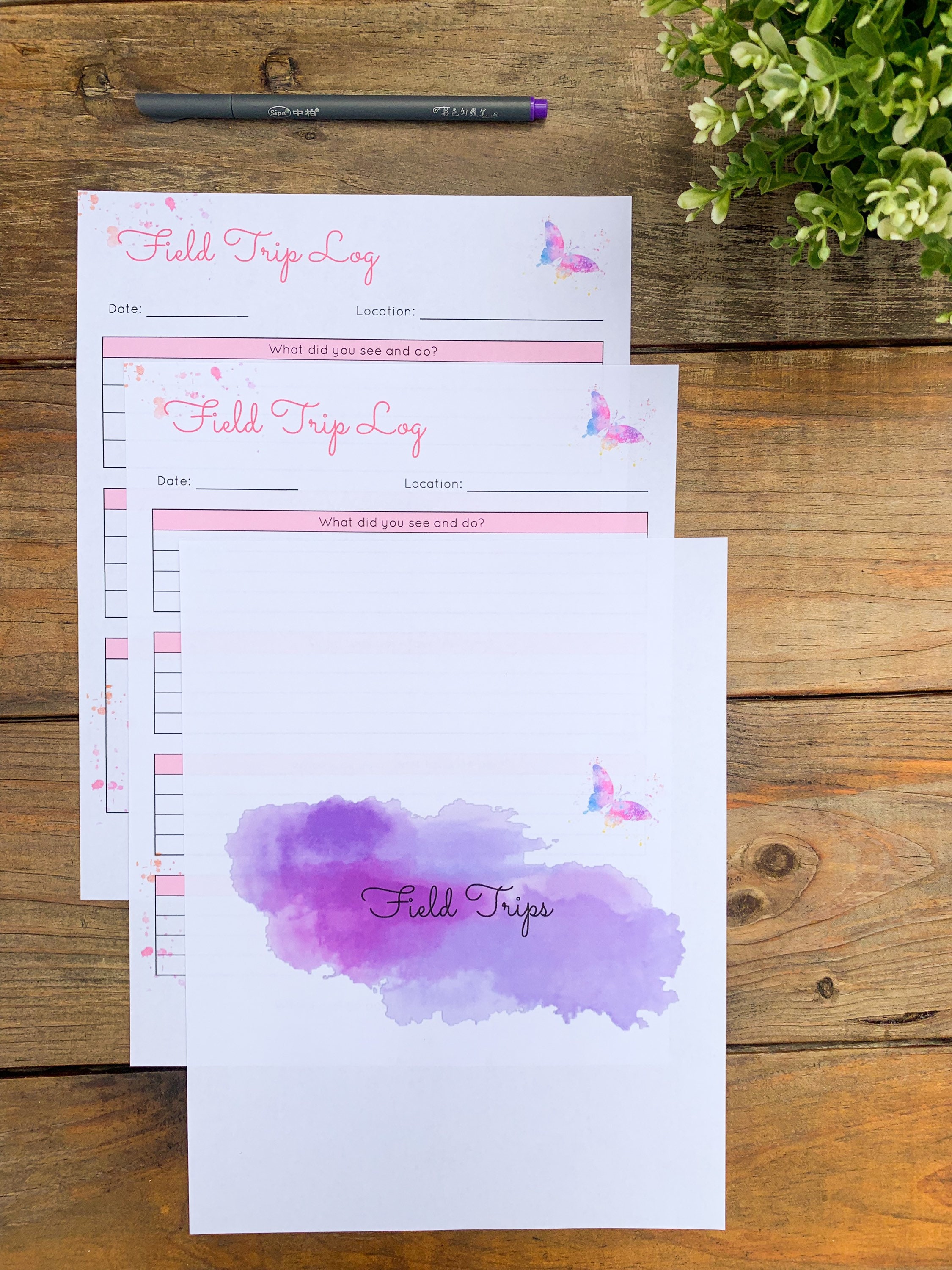 Butterfly Themed Homeschool Portfolio Bundle / Homeschool Subject ...