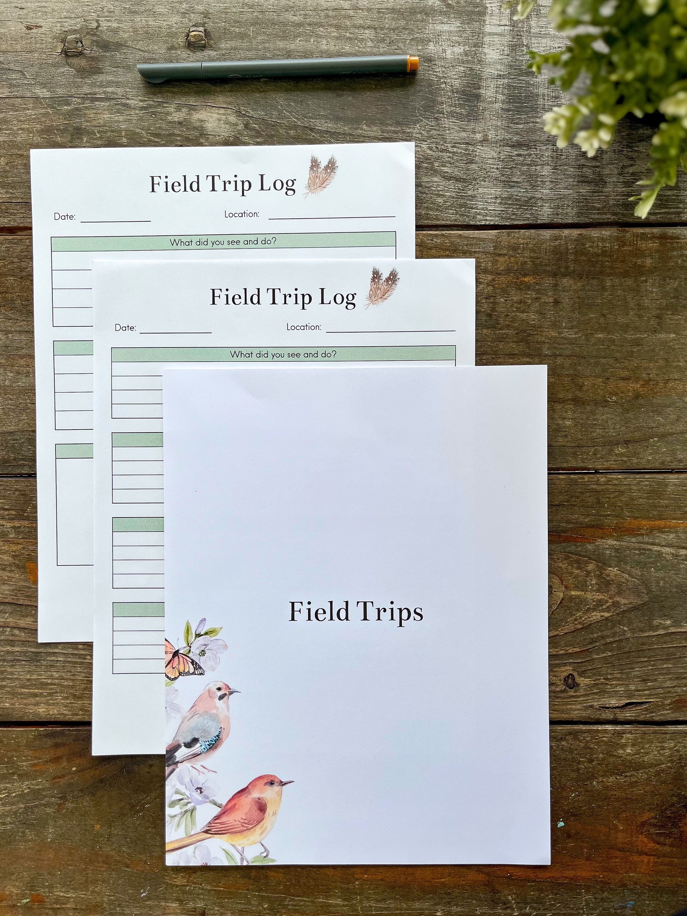 Birds | Nature Themed Homeschool Portfolio Bundle / Homeschool Subject ...
