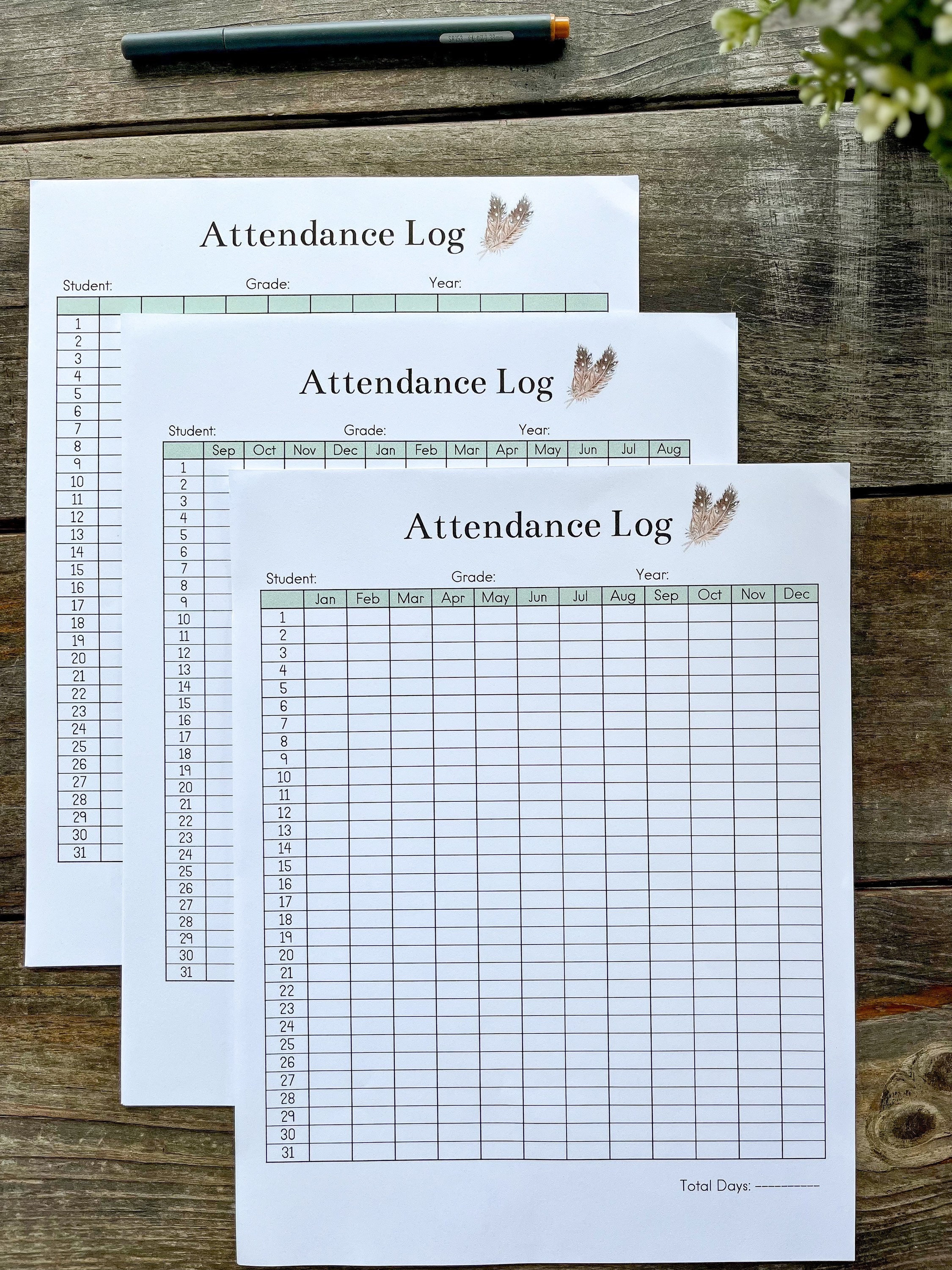 Birds | Nature Themed Homeschool Portfolio Bundle / Homeschool Subject ...