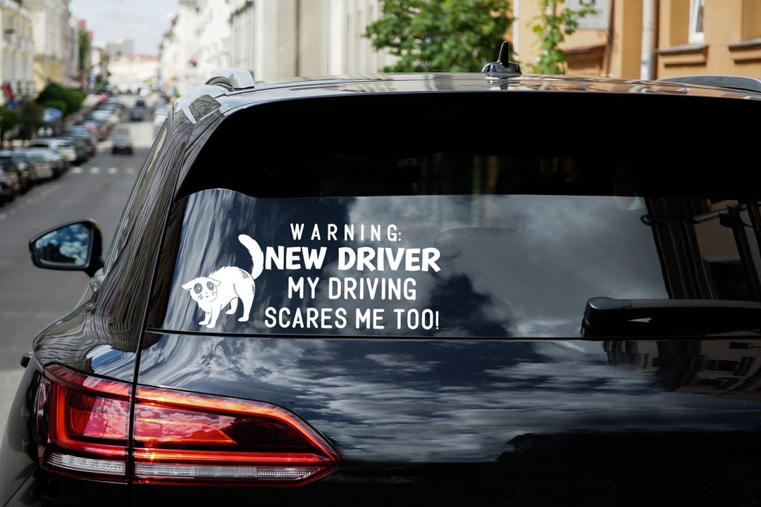 New Driver DECAL for Car, My Driving Scares Me Too, Please Be Patient ...