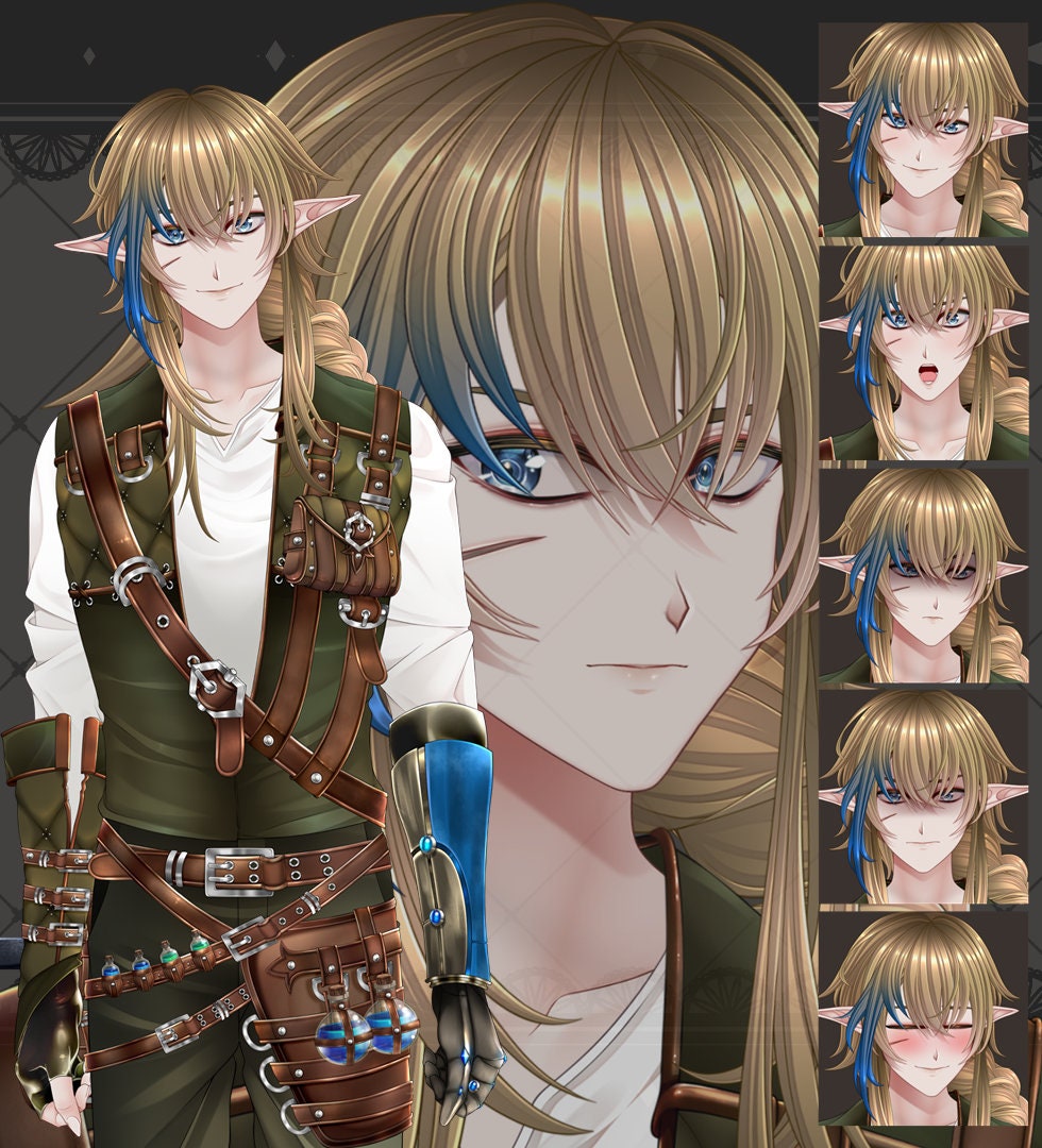 Vtuber Model Rig Live2d for Twitch & Youtube Commission - Etsy Australia