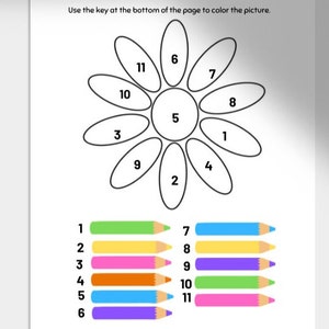 Daisy Petals COLORING Activity - Etsy