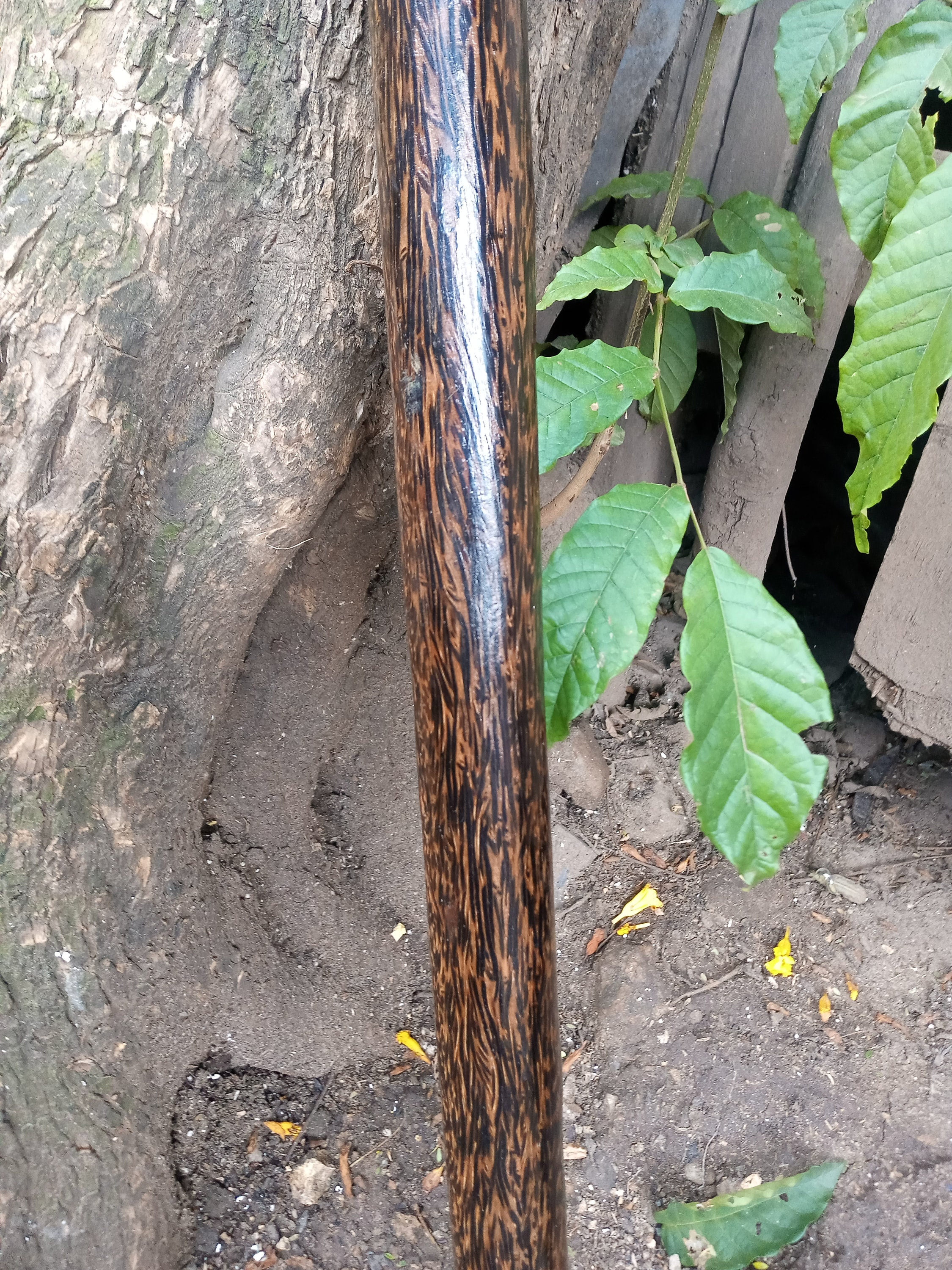 Maasai Traditional Jacaranda Talking Stick Original Handcarve U Pik ...