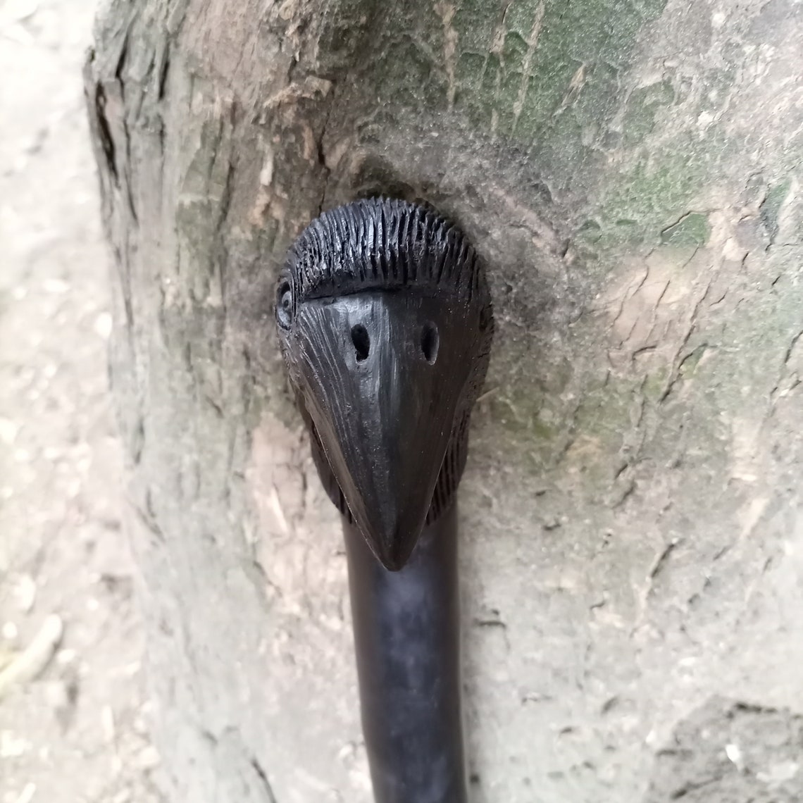 Maasai Bird Crow Traditional Ironwood Talking Stick Original Handcarved ...