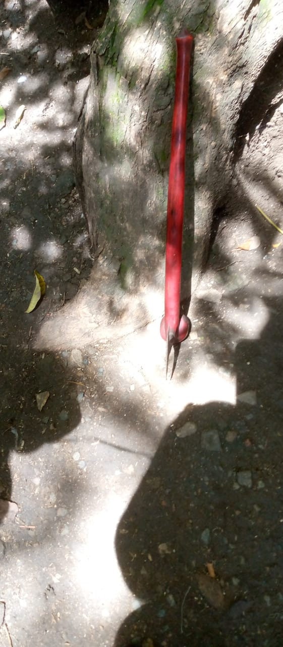 Traditional African Hatchet Ax Shoka Original Handcarved U Pik Wood 17 ...