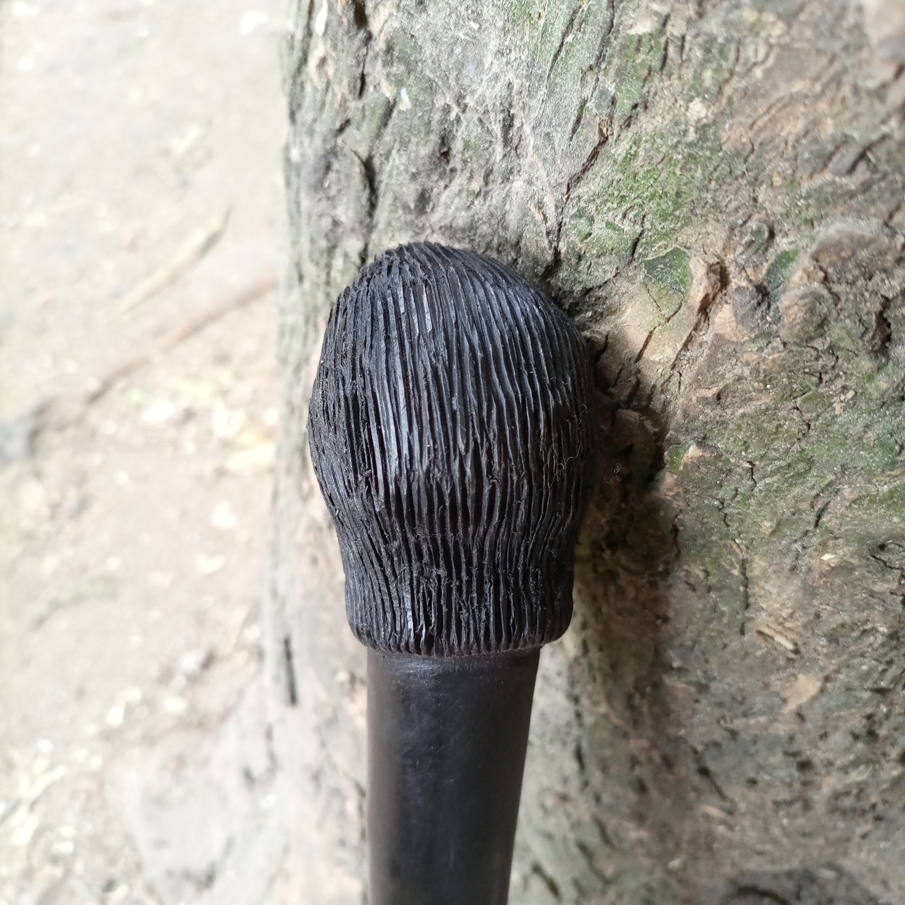 Maasai Bird Crow Traditional Ironwood Talking Stick Original Handcarved ...