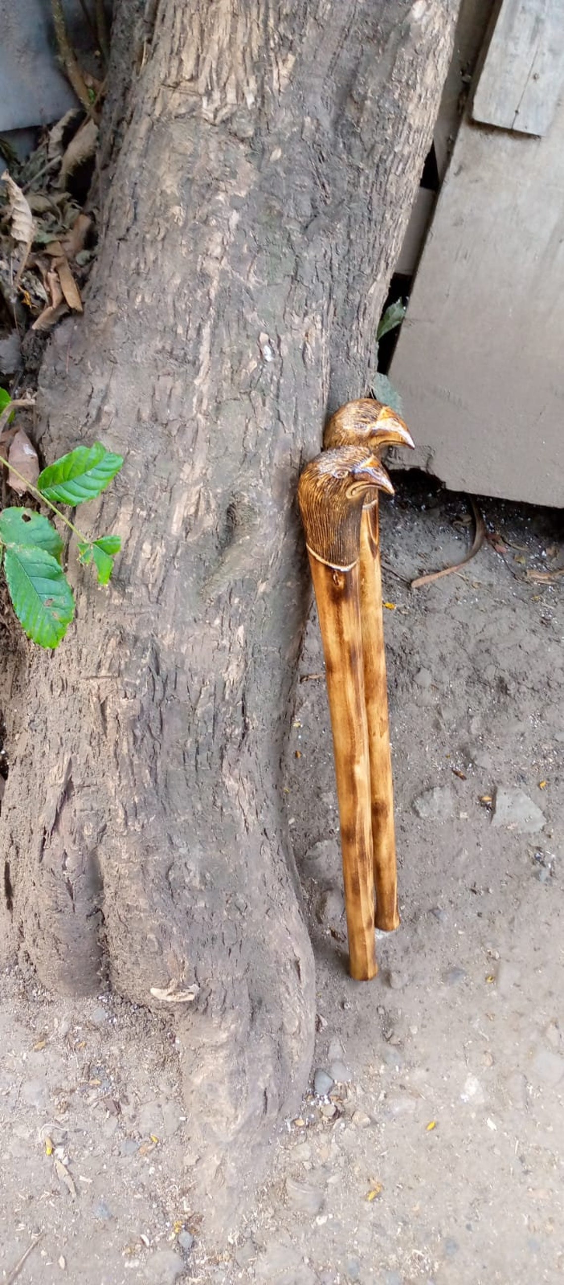Maasai Bird Crow Traditional Ironwood Talking Stick Original Handcarved ...