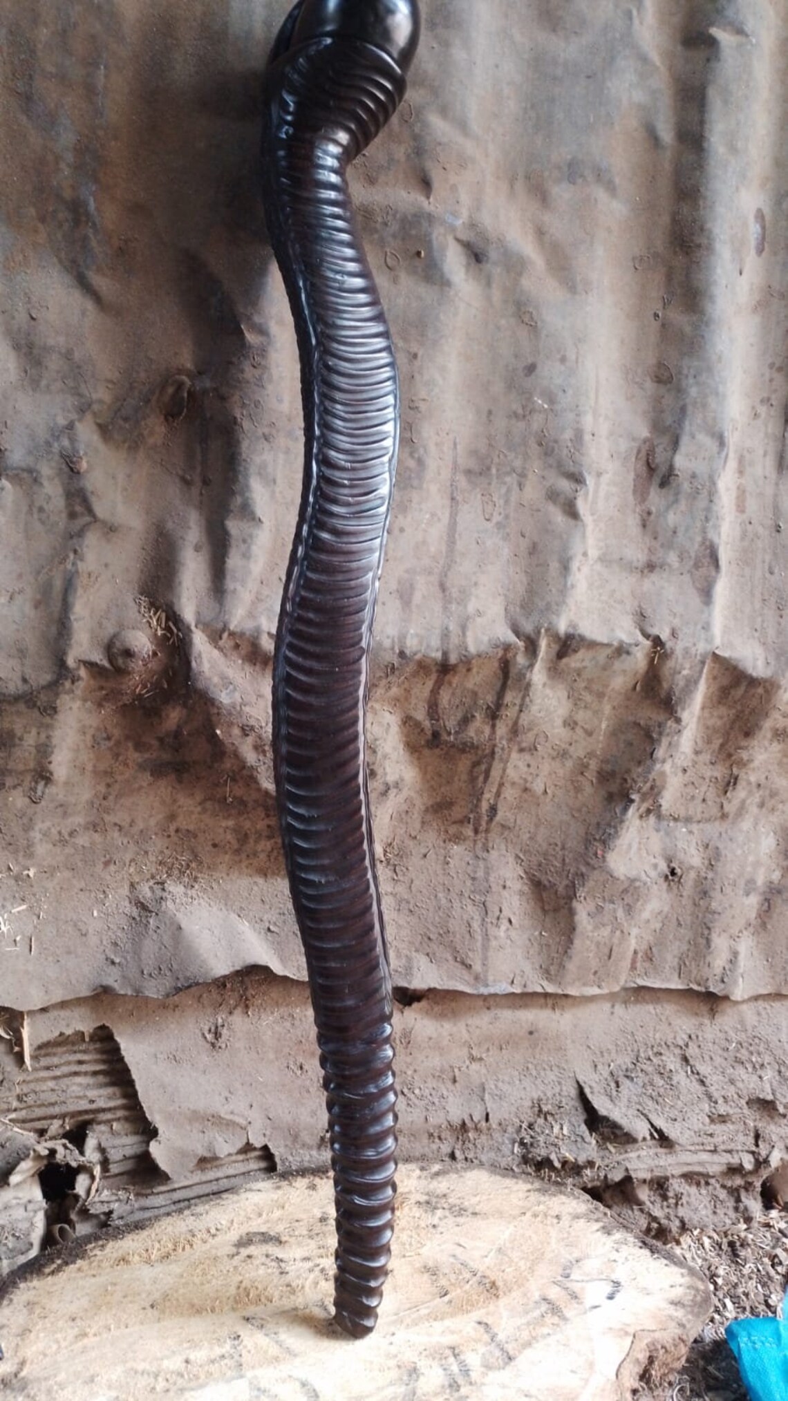 Traditional Rattlesnake Swallowing Egg Talking Stick Handcarved U Pik ...