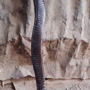 Traditional Rattlesnake Swallowing Egg Talking Stick Handcarved U Pik ...