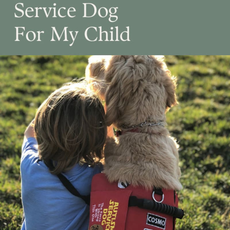 Autism Service Dog - Etsy
