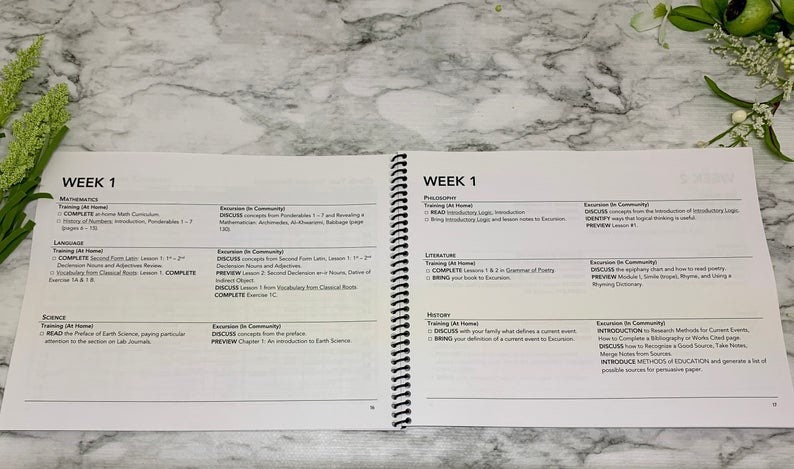 Masterpoint Curriculum Climb 2 Trail Guide (8th Grade) - Etsy