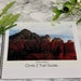 Masterpoint Curriculum Climb 2 Trail Guide (8th Grade) - Etsy