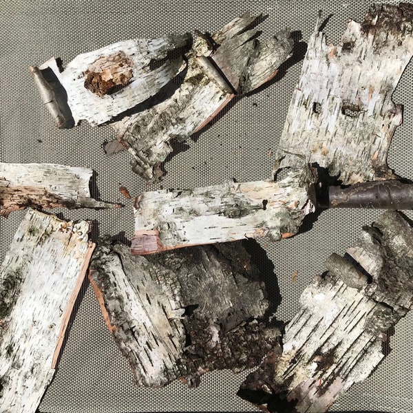 Bark Pieces - Etsy
