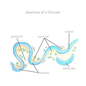 River Anatomy Map: Science Diagram Parts of a River - Etsy