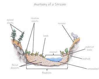 River Diagram - Etsy
