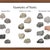 Volcano Mini Study: Earth Science Curriculum, Volcanoes Lesson Plan ...