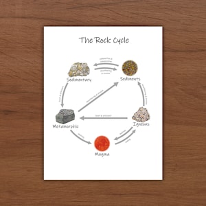 The Rock Cycle Diagram: Classroom Poster for Geology, Earth Science ...