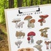 Mushroom Scavenger Hunt: Field Trip Activity, Camping Trip Game, Forest ...