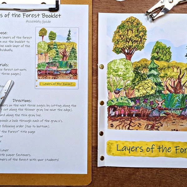 Soil Horizons Mini Study: Labeled & Unlabeled Diagrams, Science ...
