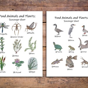 Pond Scavenger Hunt: Printable Game for Kids Wetland Field - Etsy Canada