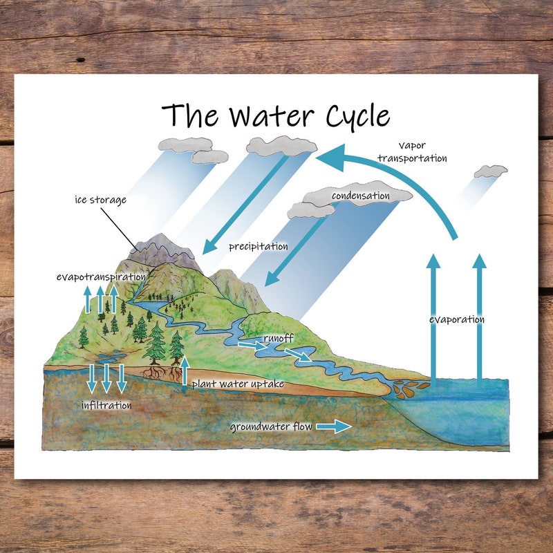 Water Cycle Poster - Etsy