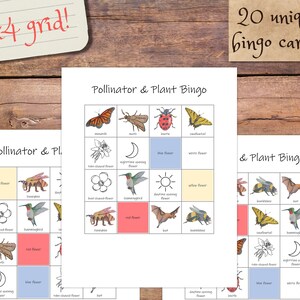 Pollinator and Plant Bingo: Set of 20 Unique Bingo Cards With Calling ...