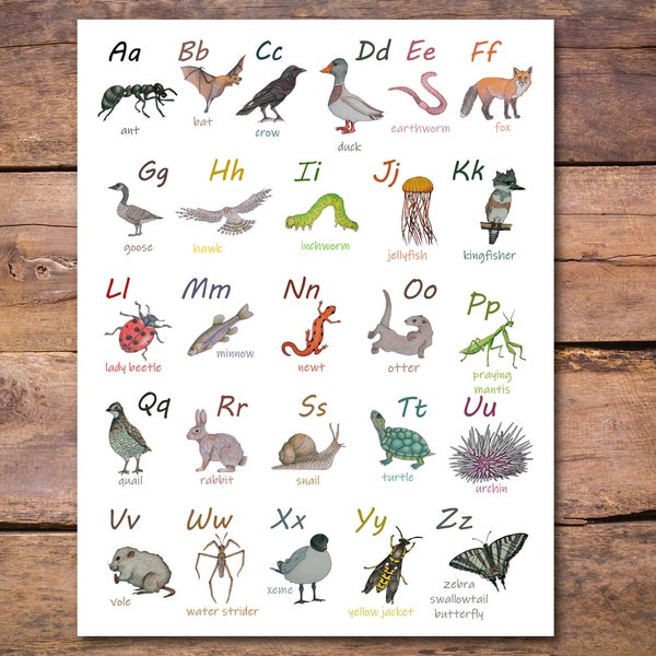 Preschool Forest Animal Alphabet - Etsy