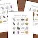 Minerals Bingo: 25 Unique Cards for Classroom Mineral ID Review Game - Etsy
