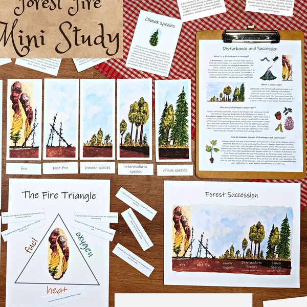Tree Anatomy Mini Study: With Printable Classroom Posters, Parts of a ...