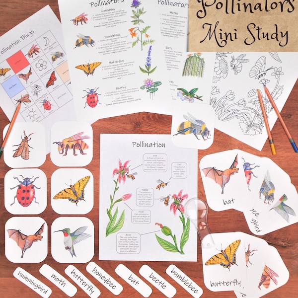 Pollination - Etsy
