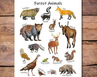 Woodland Preschool Classroom - Etsy