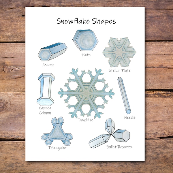 Types of Snow Poster - Etsy