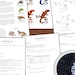 Volcano Mini Study: Earth Science Curriculum, Volcanoes Lesson Plan ...